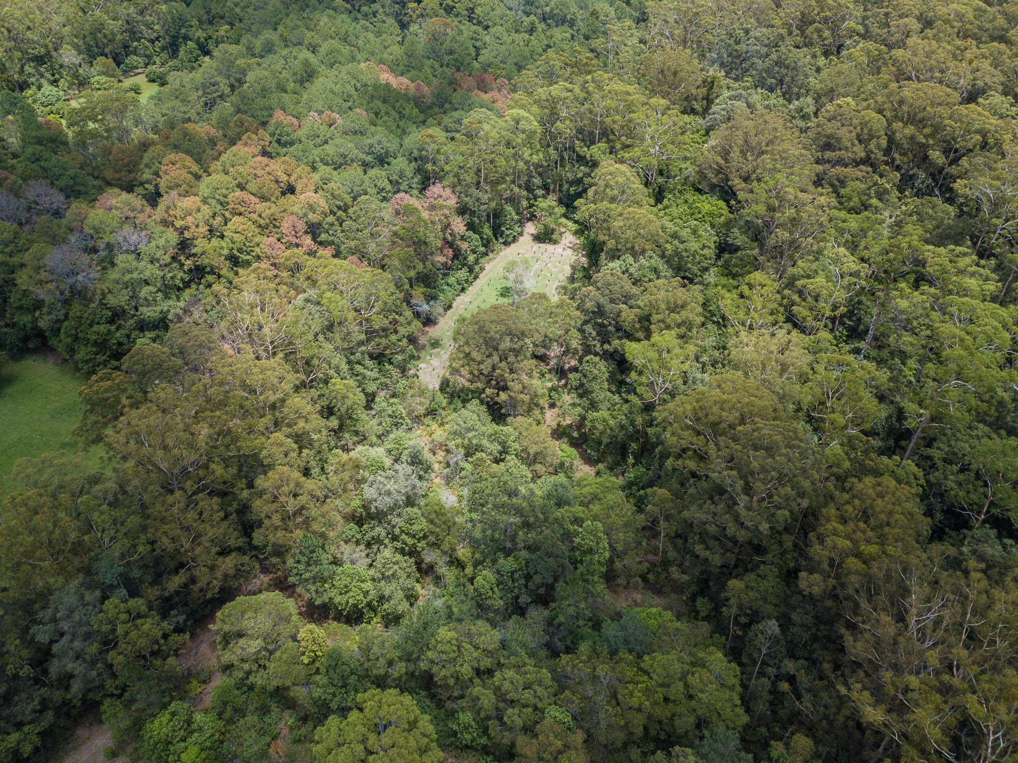 Announcing Mount Mellum as the 2022 C4RE Nature Refuge - Queensland ...